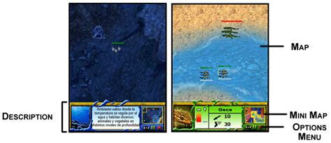 Interface Of Evolution Download Scientific Diagram