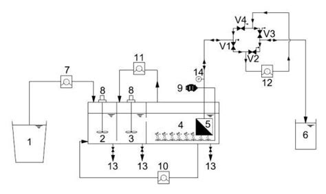 Schematic Representation Of The Experimental System Note That