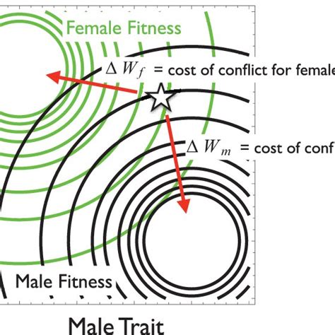 Three Examples Of Reciprocal Causation And Feedback In The Evolutionary