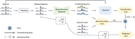 Figure 1 From Reconstructing Randomly Masked Spectra Helps Dnns Identify Discriminant