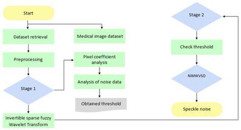 Diagnostics Free Full Text Medical Image Despeckling Using The Invertible Sparse Fuzzy