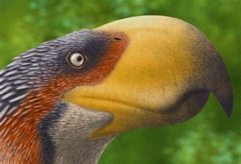 Phorusrhacos Longissimus Size