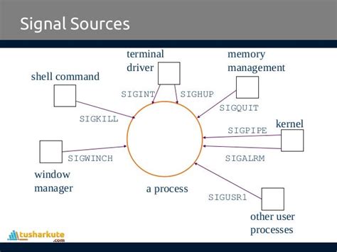 Signal Handling In Linux