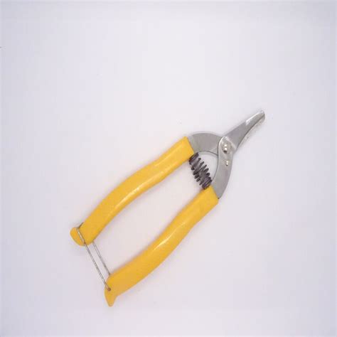 Orange Scissors Curved Mouth Small Fruit Tree Prun Vicedeal