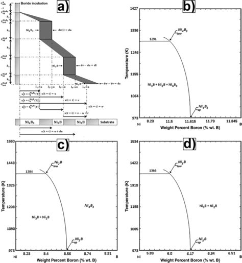 A Schema Tic Representation Of The Boron Concentration Profile Along Download Scientific