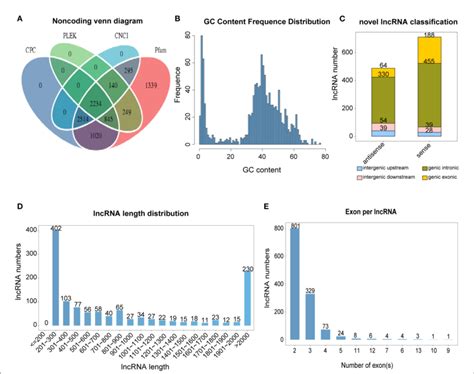 Figure Classification And Identification Of Lncrnas A Venn Diagram Download Scientific