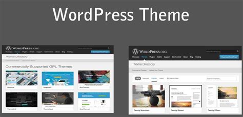 The Secret Guide To Basic WordPress Theme Grace Themes