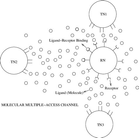 Transmitting Molecule