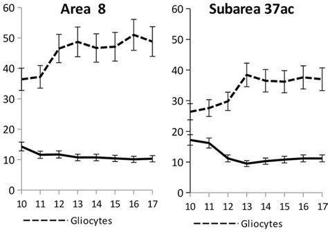 Figure 1 From Stereometric Analysis Of Glial And Vascular Components In The Microstructure Of