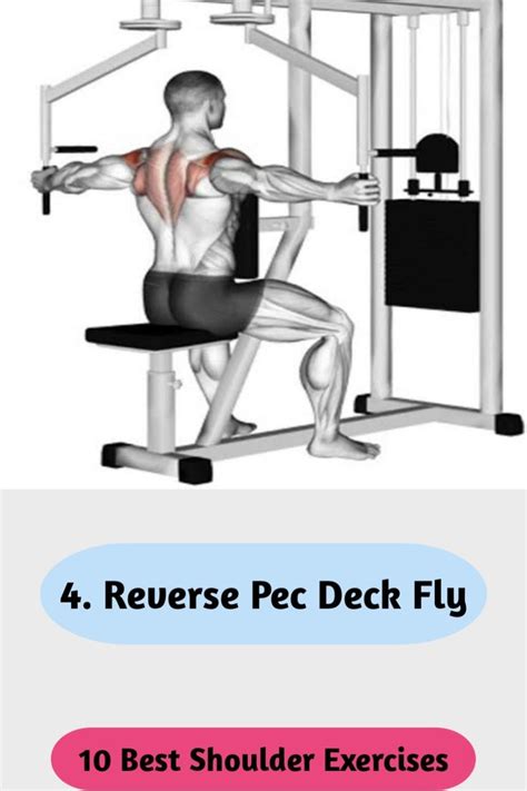 Reverse Pec Deck