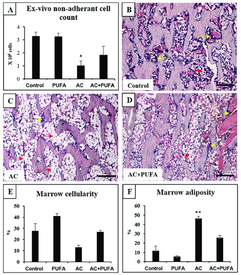 Effects Of Daily Omega 3 Polyunsaturated Fatty Acid Pufa