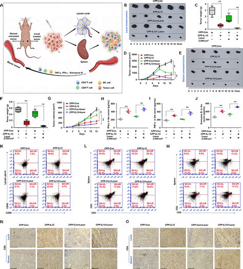 IL 12 Overexpressed Nanoparticles Suppress Melanoma IJN