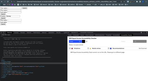 [bug] unable to scan local html files with a11y checker · issue 871