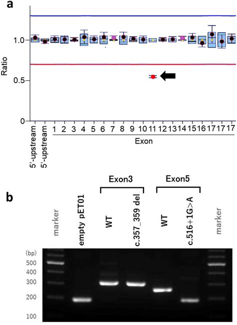 genetic analysis of variants in addition to sequencing a detection