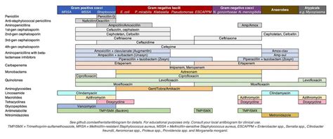 Víme Proč Z českých Lékáren Zmizel Penicilin Veškeré Výrobní Kapacity A Skladové Zásoby Míří