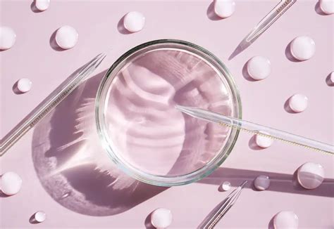 Sperm Dna Fragmentation Test Surrocare Wellness