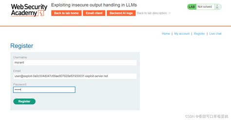 Web LLM 攻击实验利用 LLM 中不安全的输出处理 CSDN博客