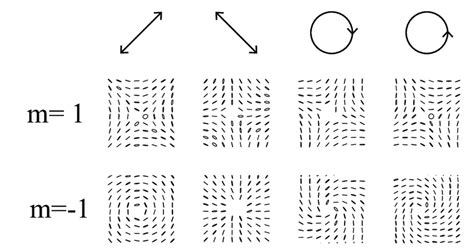 Experimental Measurement Of The Output Polarization Patterns According