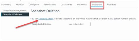 Vsphere 80 Update 3 Scheduled Snapshots Delete Murat Delibal