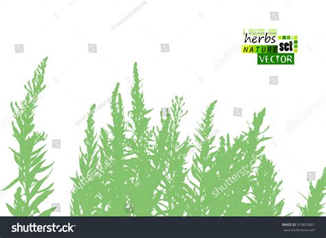 Background Tracing Grass Vector Stock Vector Royalty Free 319825661