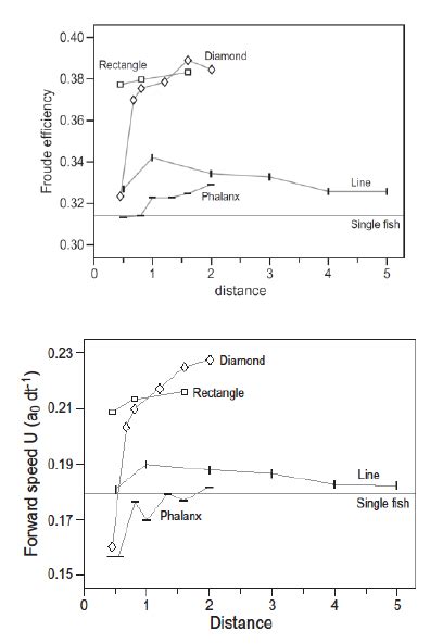 Tail Beat Frequency And A Slip Ratio In The Srd Model Or B Strouhal