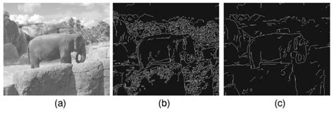 Gradient Threshold Edge Detection Based On The Human Visual System