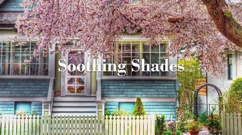 커피숍 오너의 부드럽고 평화로운 피아노 음악 Youtube