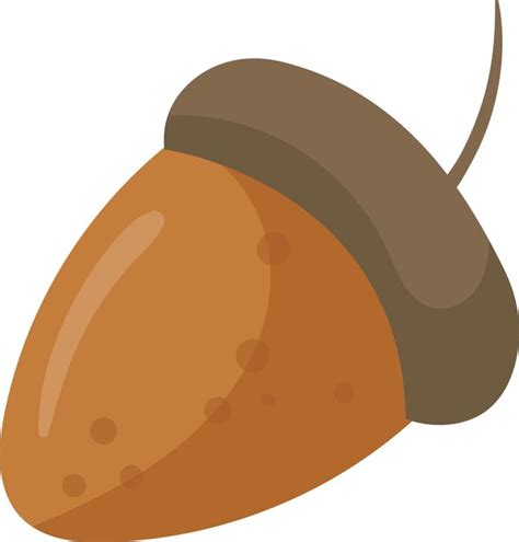 Premium Vector Acorn Oak Fruit