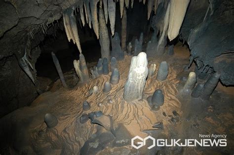 단양군 곳곳에 자리한 천연동굴 이색 여행지로 각광