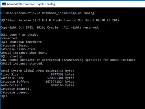 Ora 32004 Obsolete Or Deprecated Parameters Specified For Rdbms Instance Duh Microsoft Did