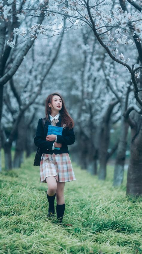 [art Picture Language] 2022 04 23 소녀와 사쿠라 리치 V2ph