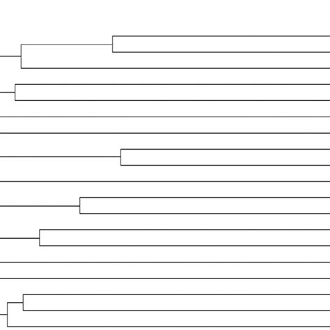 Dendrogram Showing Genetic Relationship Among 20 Maize Inbred Lines