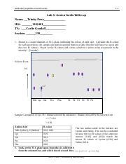 BIOC Amino Acid Lab Docx Molecular Properties Of Amino Acids Lab Amino Acids