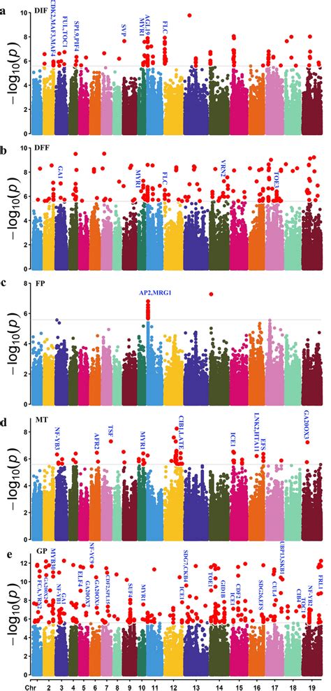 The Manhattan Plots For Five Growth Period Traits Using Blup Value Download Scientific Diagram