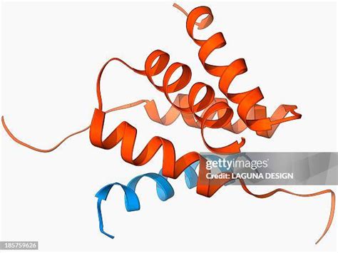 Subunit Photos And Premium High Res Pictures Getty Images