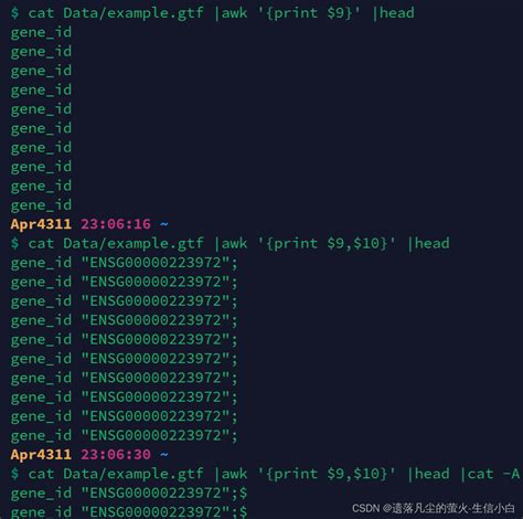 Linux进阶 Vim编辑器和文本处理三驾马车grep • Sed • Awkvim Awk Sed Csdn博客
