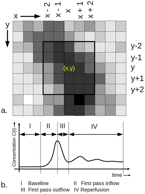 A Voxel Region Of An Mr Image To A Simple Moving Average Filter The Download Scientific