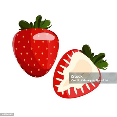 전체 딸기와 얇게 썬 반 딸기 하얀 바탕에 신선한 빨간 익은 부드러운 베리 벡터 그림 0명에 대한 스톡 벡터 아트 및 기타 이미지 0명 개체 그룹 건강한 식생활