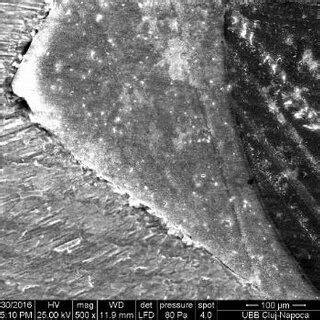 SEM image for Fissurit FX at x50 (a) respectively x250 magnification (b ...