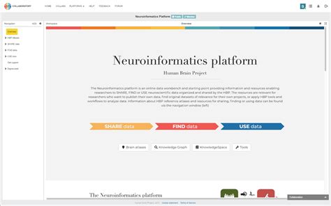 Neuroinformatics Platform