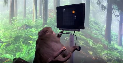 马斯克：预计6个月内首次进行脑机接口人体试验 腾讯新闻