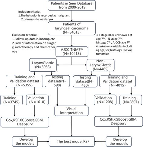 创建基于机器学习的喉癌各种亚型的预后预测模型 Scientific Reports X Mol