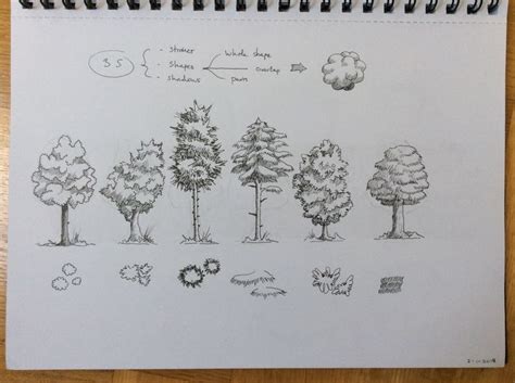 Creative Techniques For Textured Tree Drawings