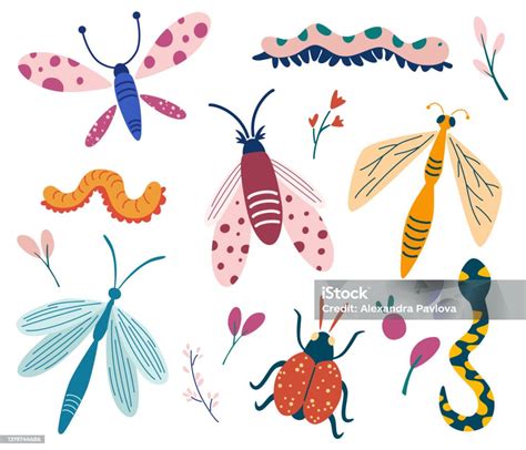 낙서 곤충의 큰 세트 딱정벌레 나비 나방 벌레 잠자리 뱀 곤충 수집 식물이있는 나비와 나방 안녕하세요 봄 꽃 카드 배너 벡터 만화 평면 일러스트레이션 낙서 드로잉에 대한