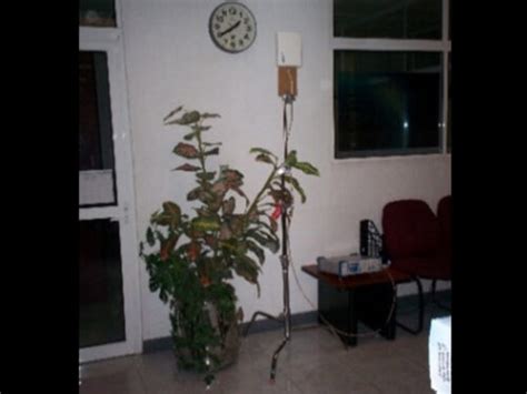 Ibwave Design Prediction Accuracy