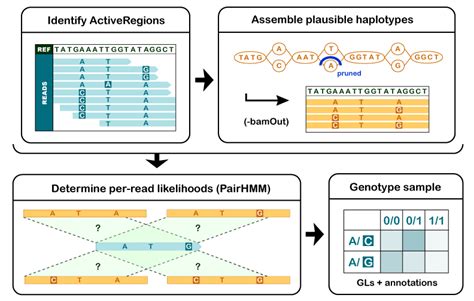 Gatk Methods And Algorithms