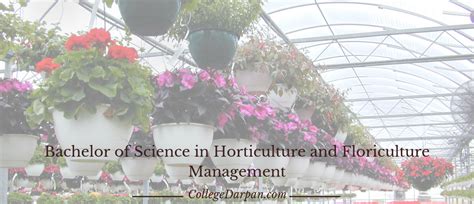 Bachelor Of Science In Horticulture And Floriculture Management College Darpan