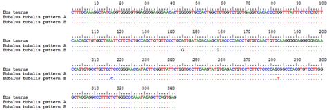 Clustal W Multiple Alignment Sequence Of Exon 5 And Flanking Partial