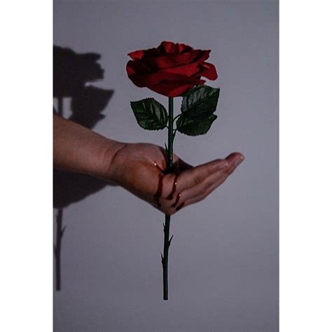 Week 1 The Double Edged Sword 🗡🌹 This Image Pays Homage To All Those Who Were Lost And Those