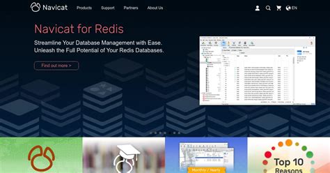 navicat multi platform database admin tool